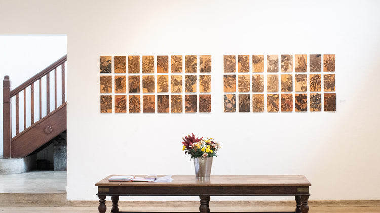 Gallery – BAREFOOT